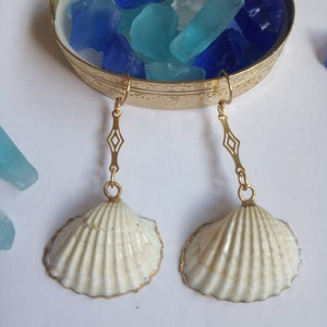 Natural & gold seashell earrings dangle sea shell earrings | Etsy