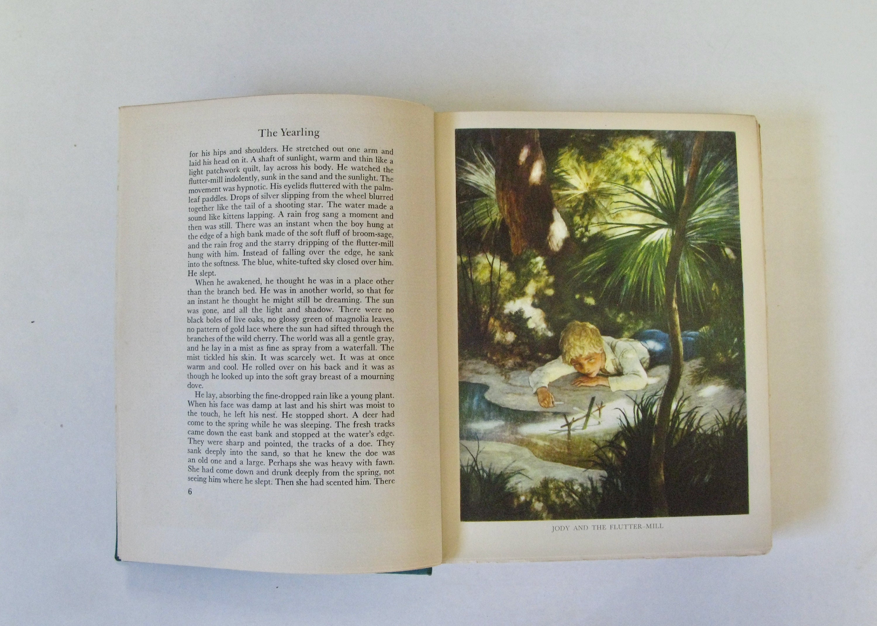 The Yearling - Signed by Rawlings and Wyeth, 1939 - Etsy
