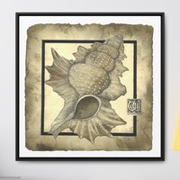 Indigo Blue Shell Sold Separately, Different Sizes Available print Only ...