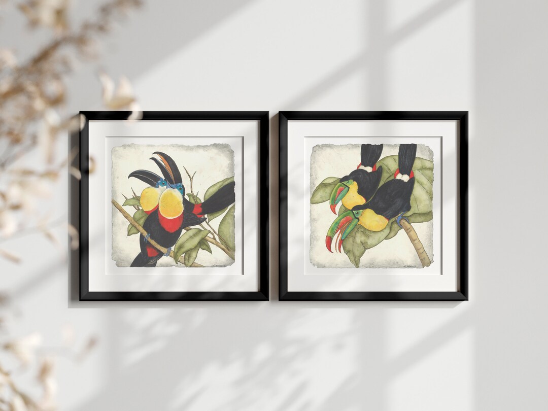 Toucan Gallery Wall Art Set of 2 Sold Separately With Different Sizes ...