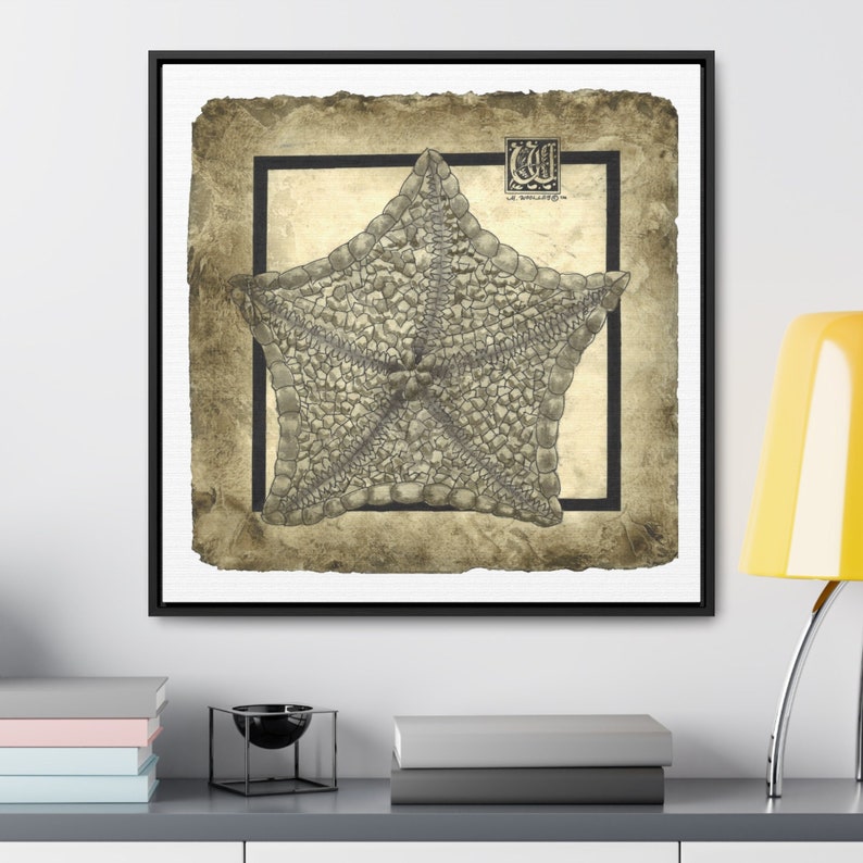 Coastal Art Different Sizes Available With Frame, Sea Urchin Shell ...