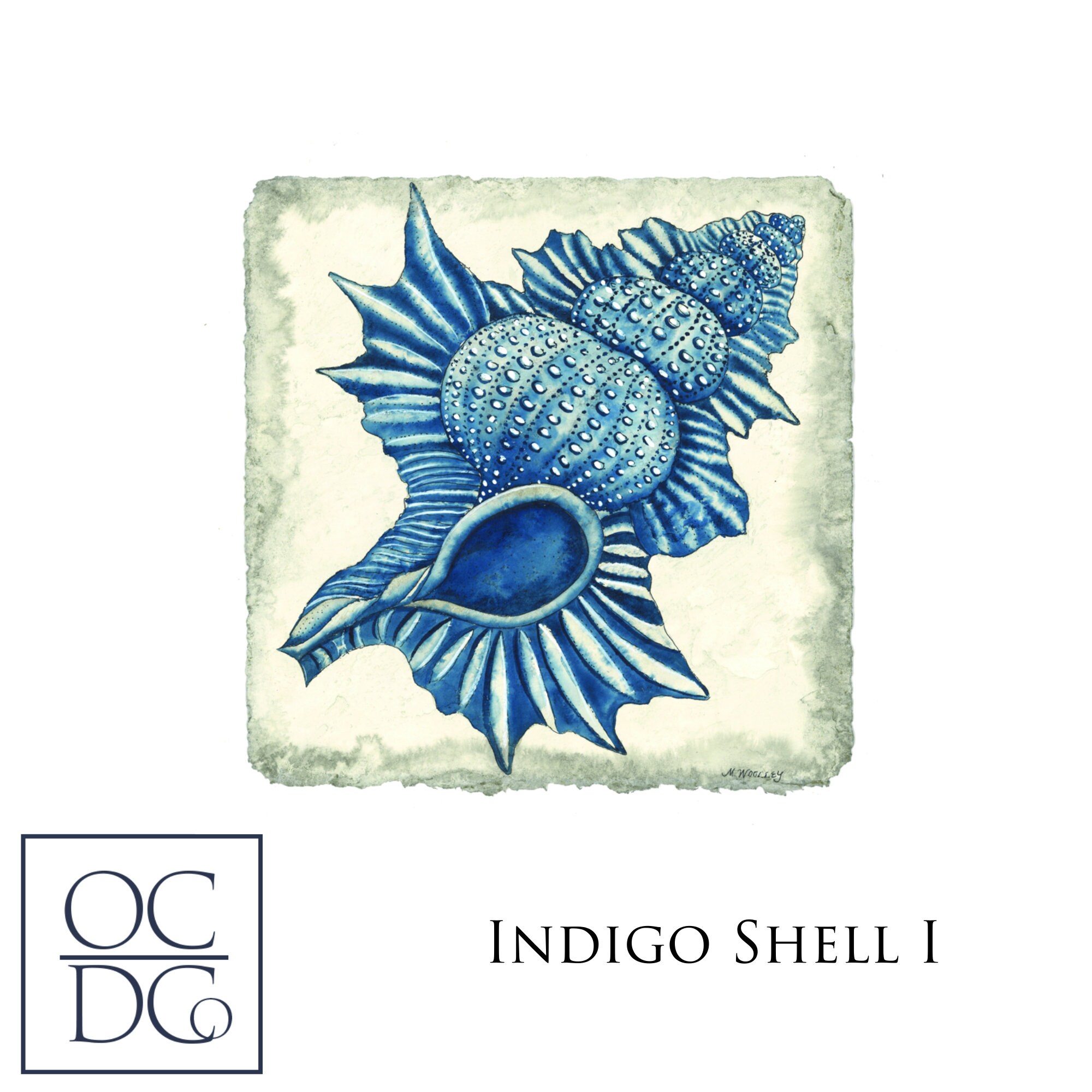 Indigo Blue Shell - Sold Separately, Different Sizes Available - (print ...