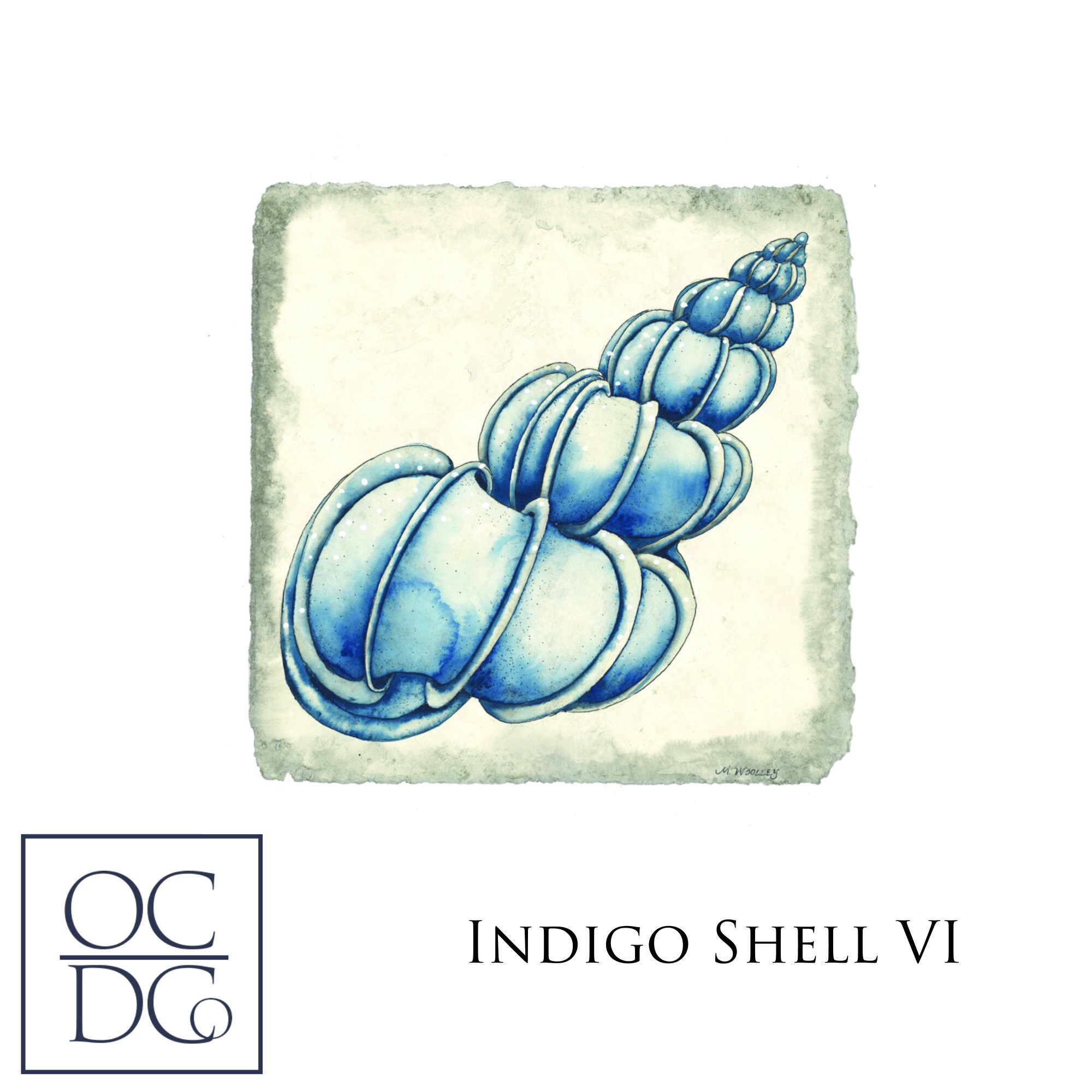 Indigo Blue Shell - Sold Separately, Different Sizes Available - (print ...