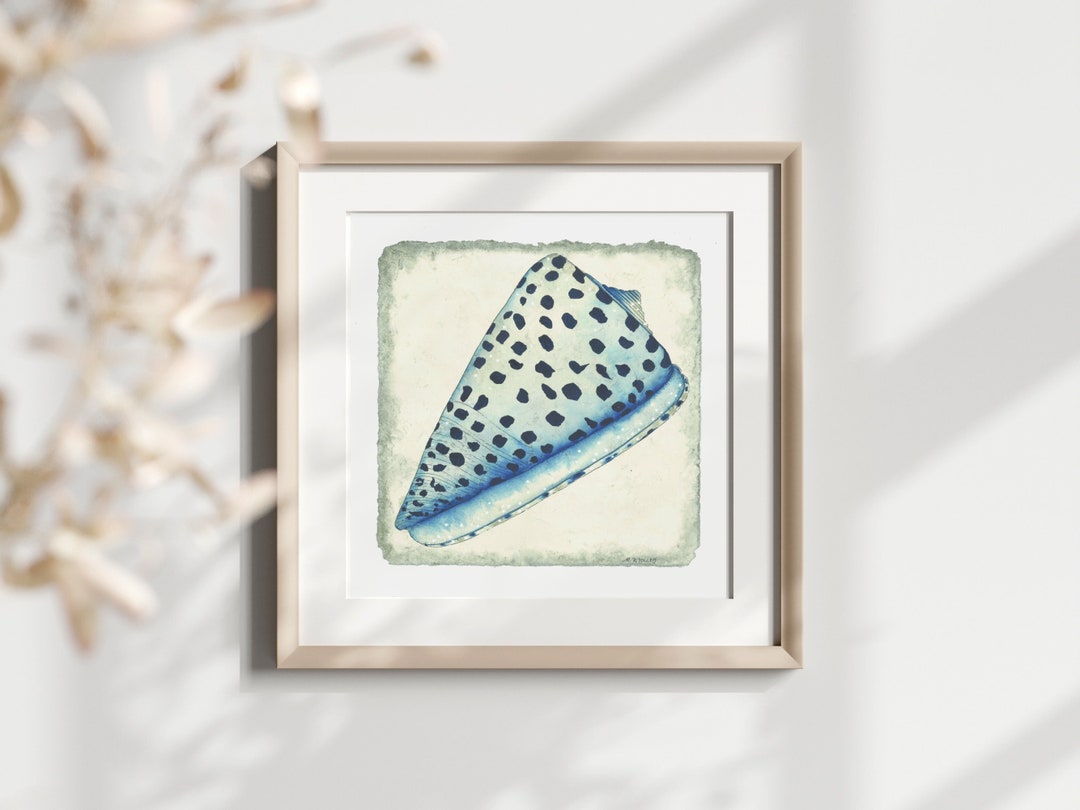 Indigo Blue Shells Minimalist Watercolor - (print Only) Art Print ...