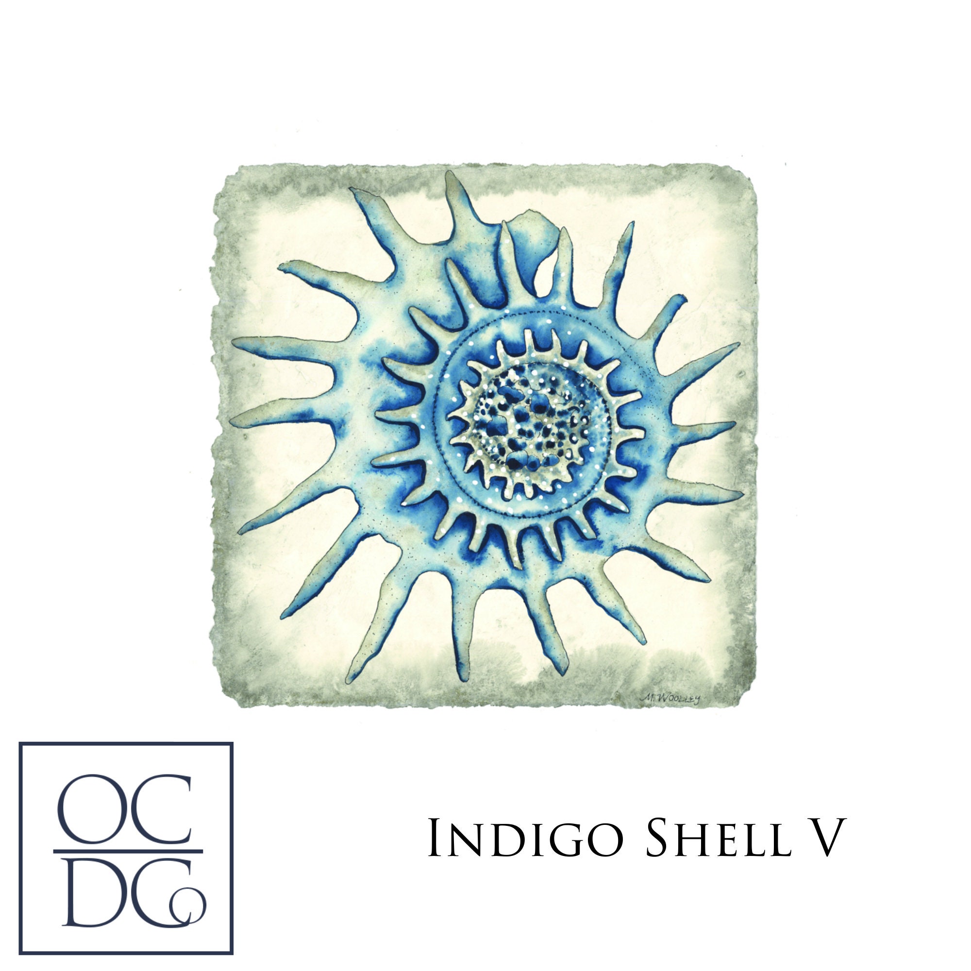 Indigo Blue Shell - Sold Separately, Different Sizes Available - (print ...