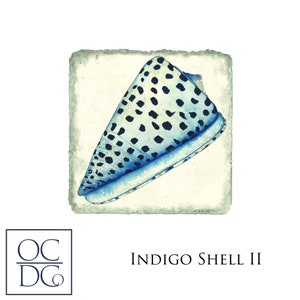 Indigo Blue Shell - Sold Separately, Different Sizes Available - (print ...