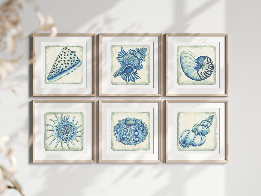 Indigo Blue Shell - Sold Separately, Different Sizes Available - (print ...