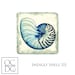 Indigo Blue Shell - Sold Separately, Different Sizes Available - (print ...