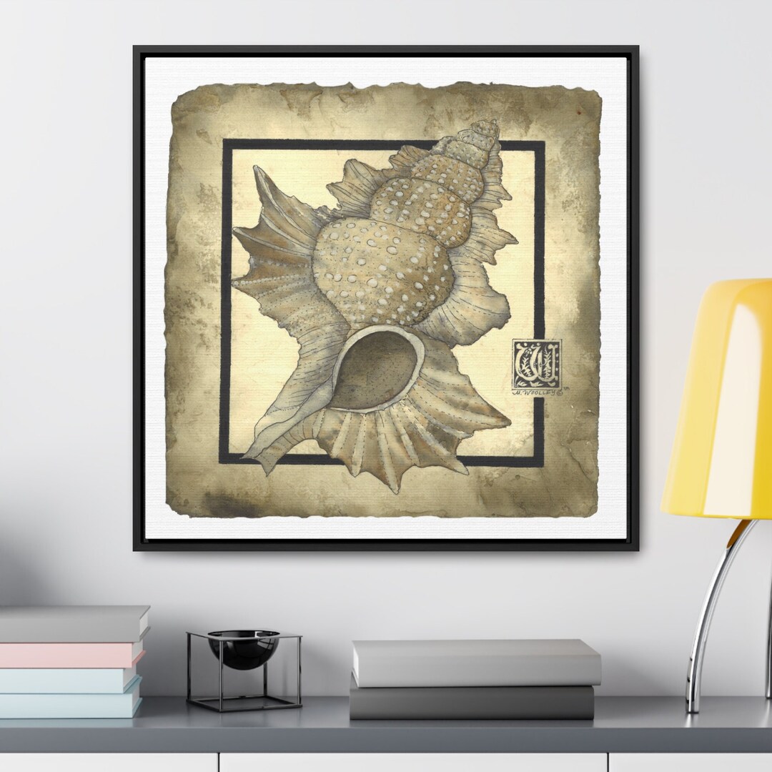 Coastal Art - Different Sizes Available - With Frame, Conch Shell ...