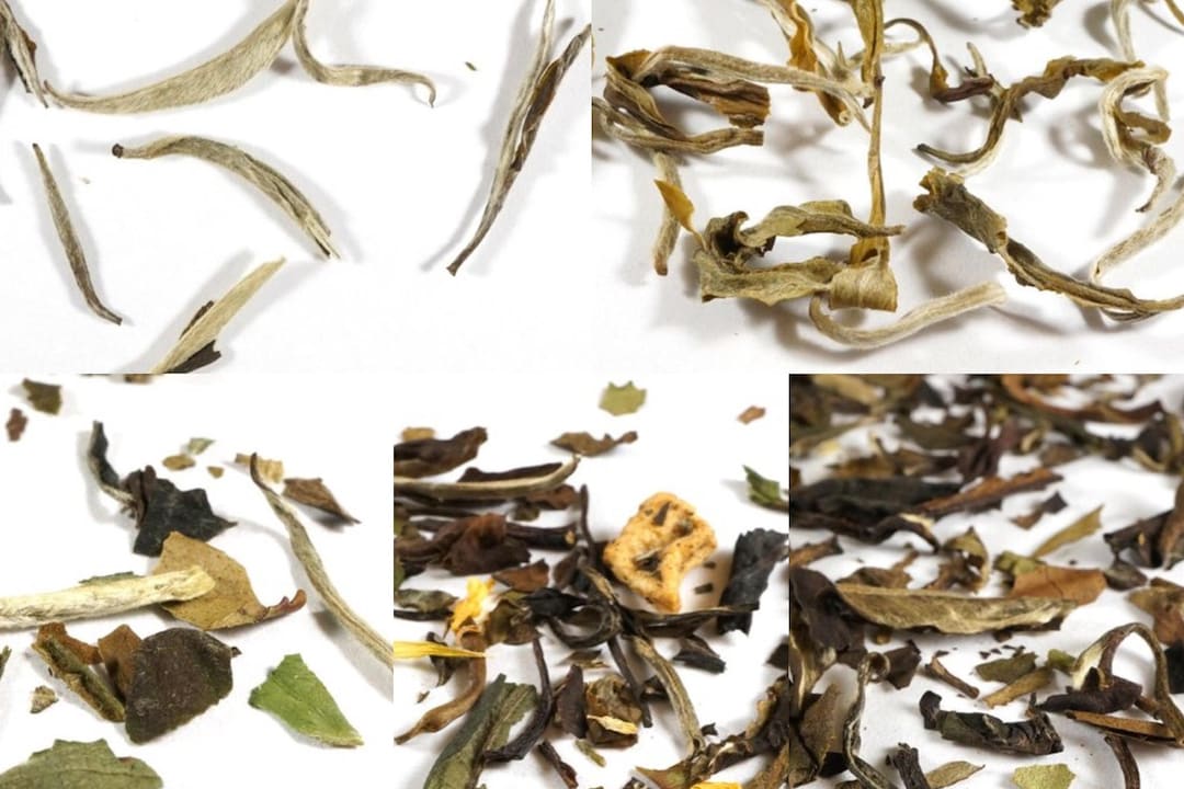 White Tea Variety Sampler Pack. 4 Gourmet Loose Leaf White Tea Samplers ...