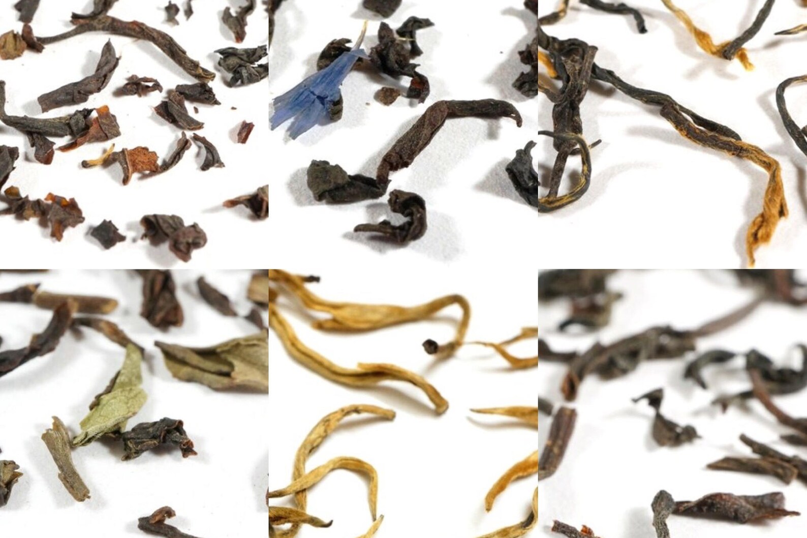 10 Tea Samplers Variety Gift Pack. All Natural Gourmet Whole - Etsy