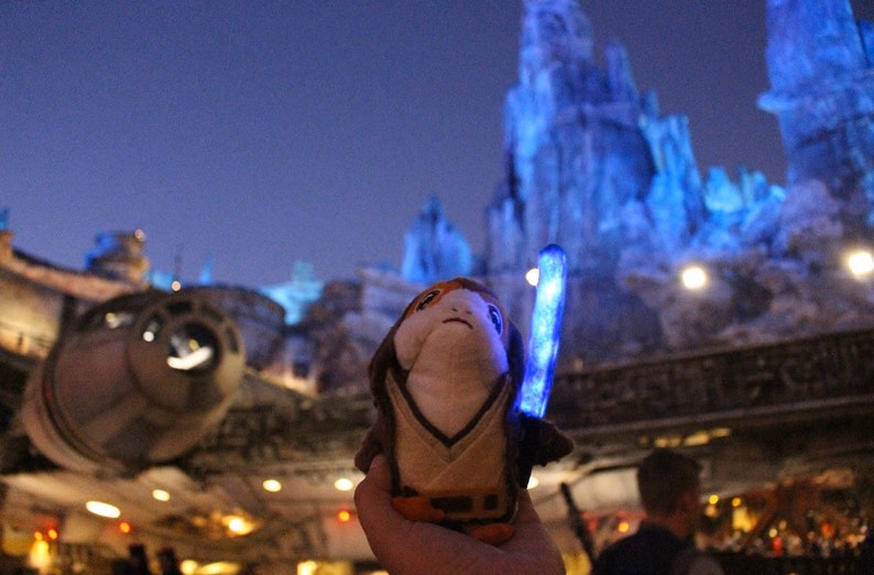 Shoulder Porg Jedi Costume - Etsy