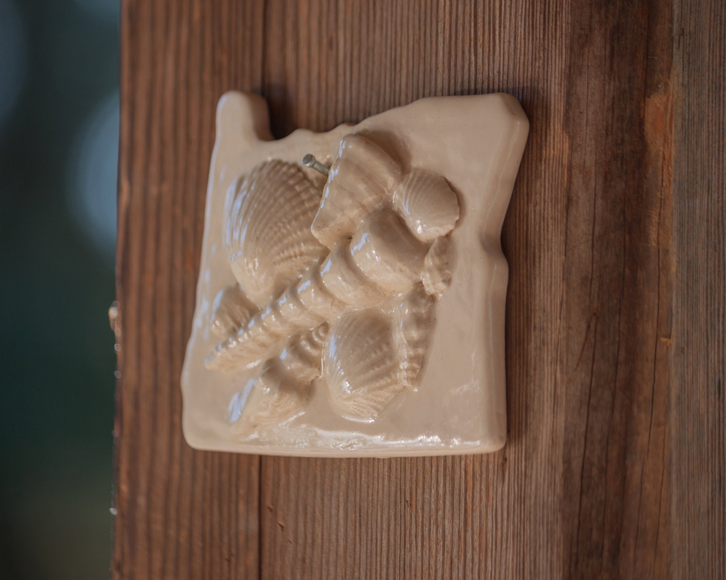 Handmade Ceramic Pottery Oregon Coast Ornament sea Shells beach ...