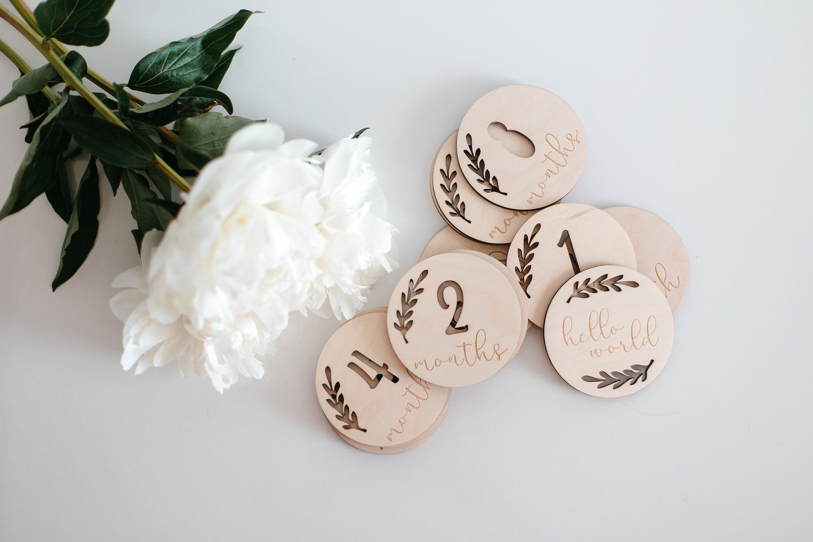Wooden Baby Milestone Discs: Newborn Photo Prop, Nursery Decor - Etsy