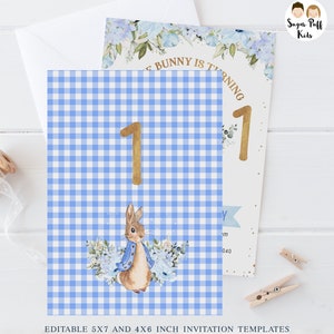 Printable Peter Rabbit Birthday Invitations, Instant Download Blue ...