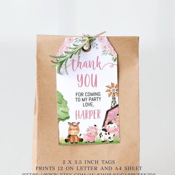 Farm Theme Birthday - Etsy