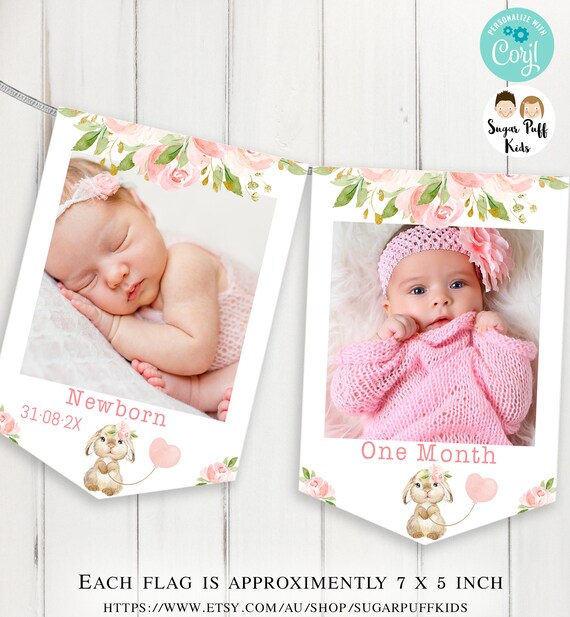 INSTANT DOWNLOAD Fluffy Bunny Monthly Banner, Printable Bunny Pink ...