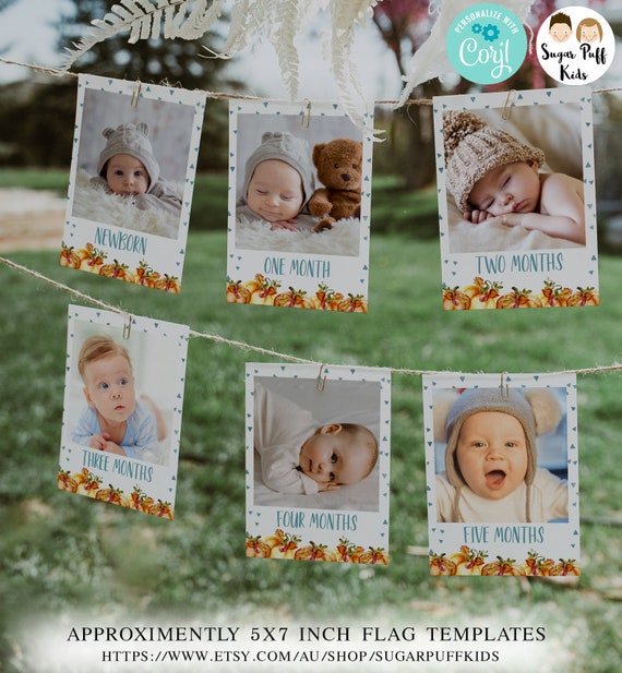 Editable Pumpkin Monthly Banner, Printable Fall Pumpkin Themed Birthday ...