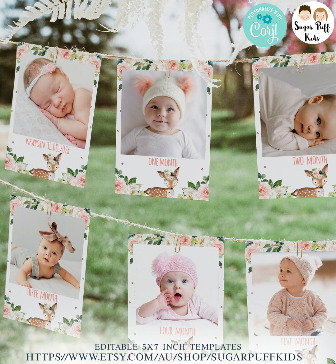 INSTANT DOWNLOAD Oh Deer Monthly Banner, Girls Printable Pink Floral ...