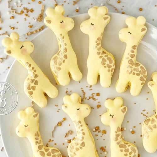 12 Gourmet French Macarons-watermelongluten Free | Etsy