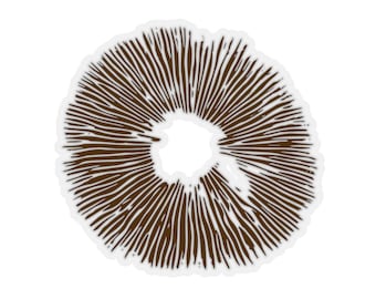 Cubensis Sticker - Etsy