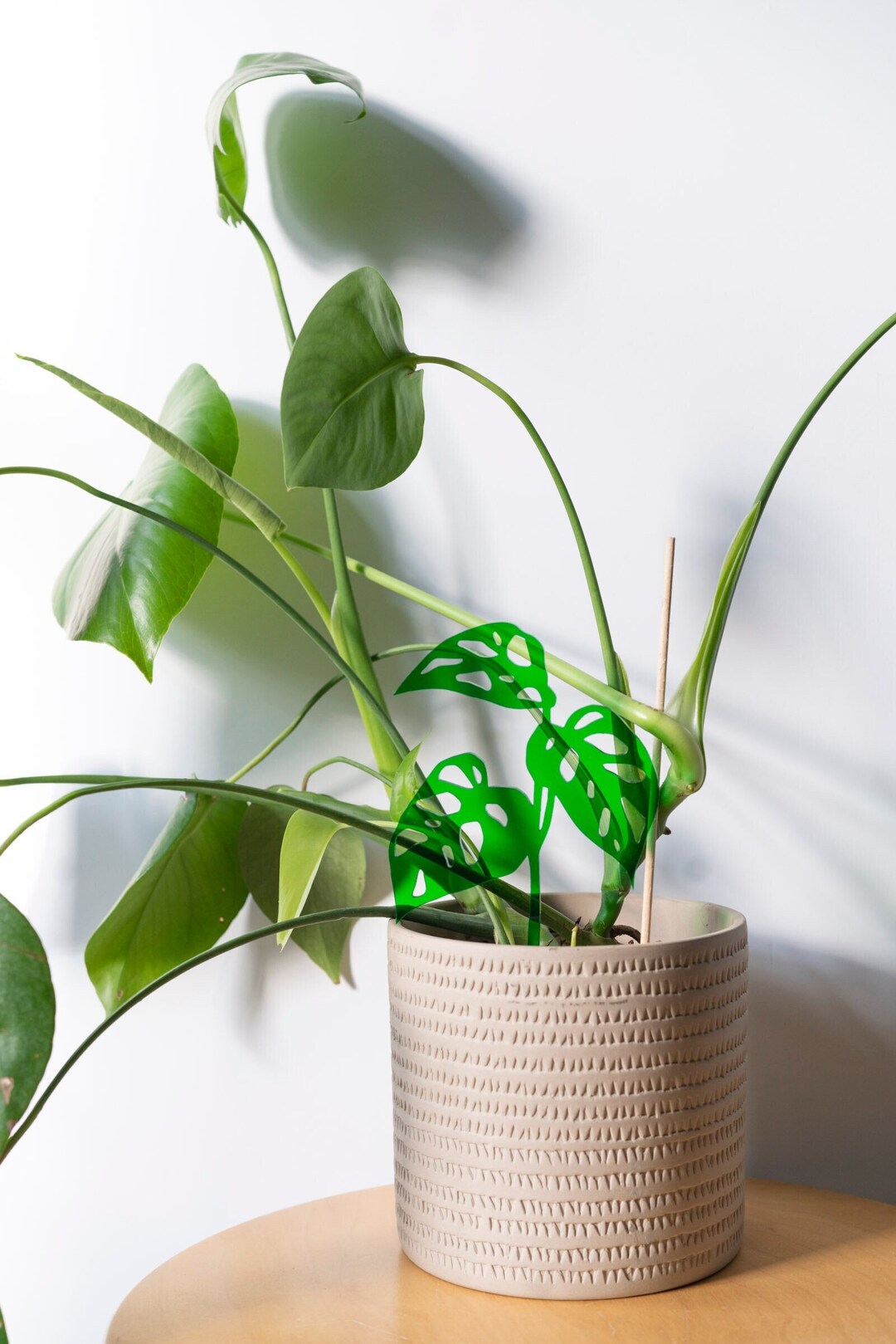 Monstera Leaf Plant Friend, Decorative Plant Stake - Etsy