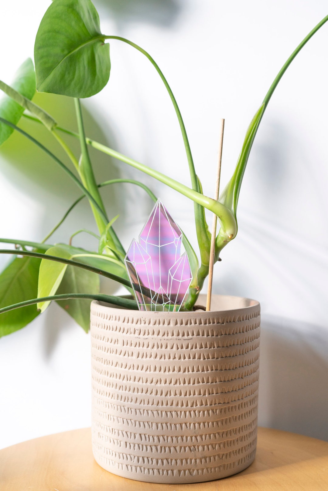 Crystal Plant Friend, Decorative Plant Stake - Etsy