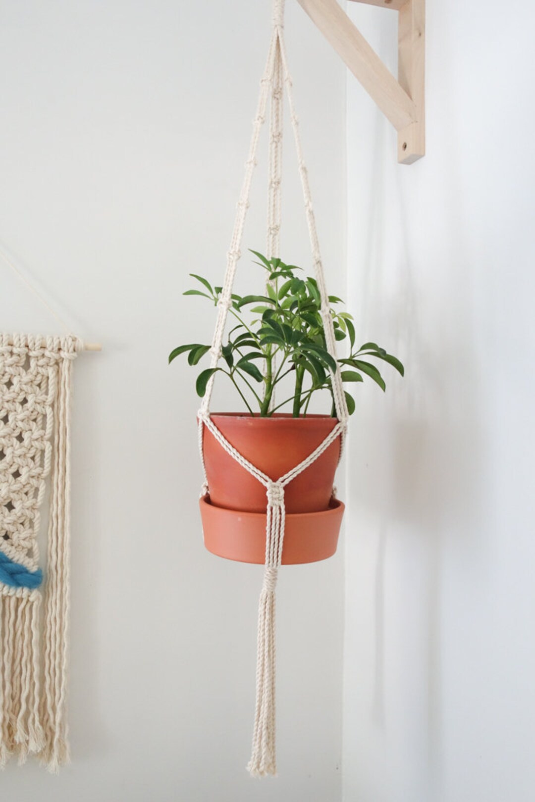 SPECTRUM / Thin Ladder Macrame Plant Hanger - Etsy