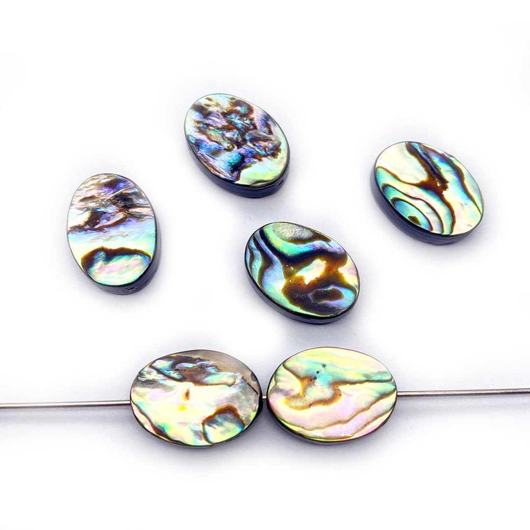 Oval Natural Shell Abalone Shell - Etsy UK