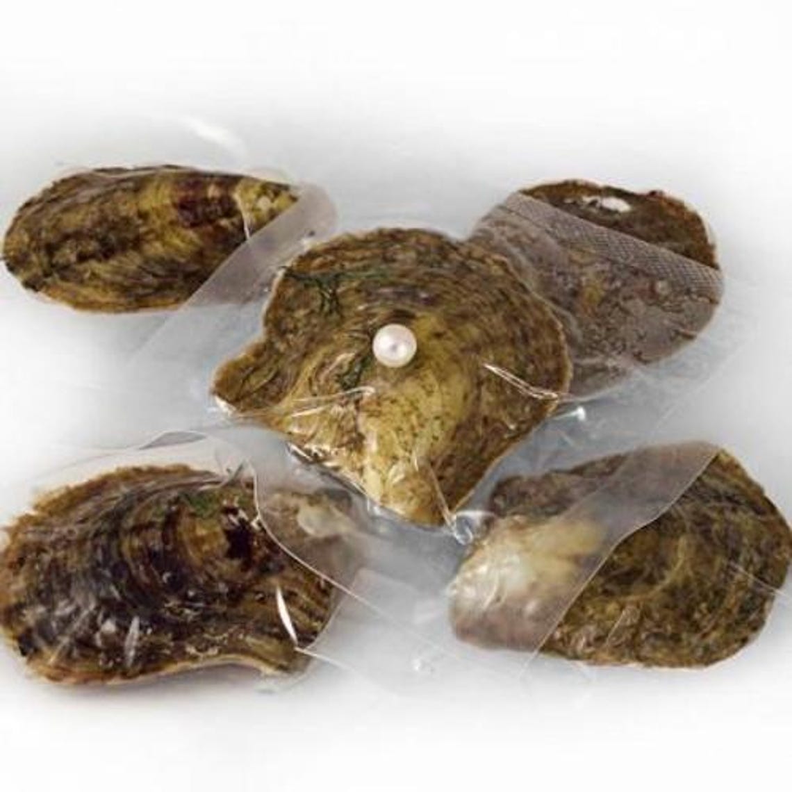 Wholesale Lot of 30 Individually Vacuum Packed Round Freshwater Pearls ...