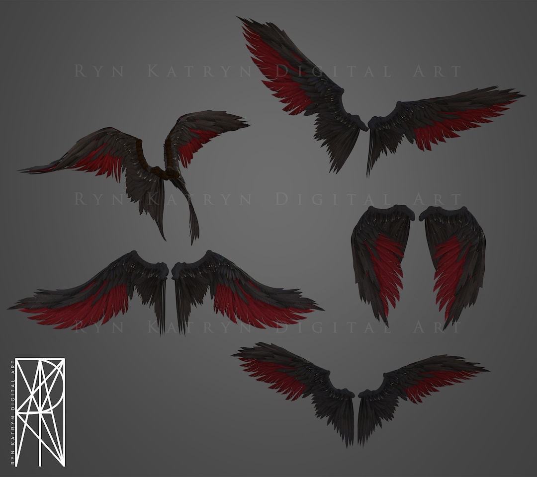 PNG Fallen Angel Wings Set - Etsy