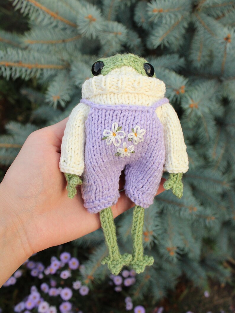 Knitted Frog in Sweater, Stuffed Animal, Cute Toy, Handmade Froggie in ...