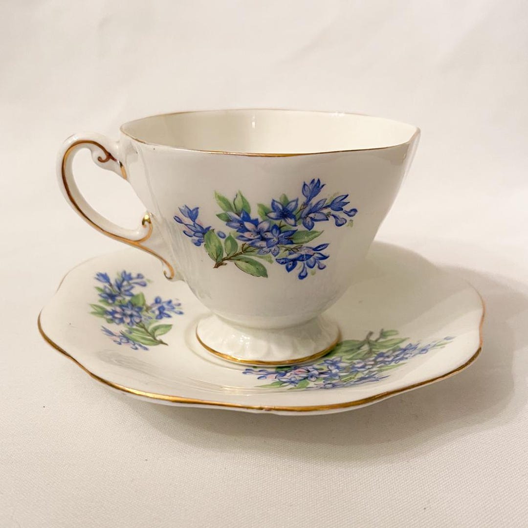 Foley Forget-me-not Tea Set Bone China - England - Etsy