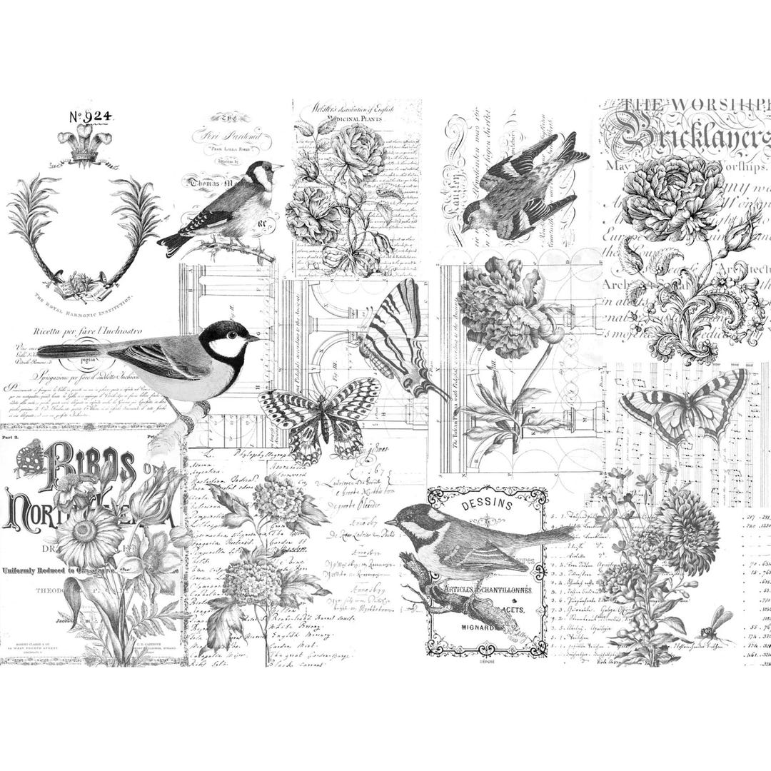 Paintable Botanical Decoupage Paper - Roycycled Treasures | 30" X 20 ...