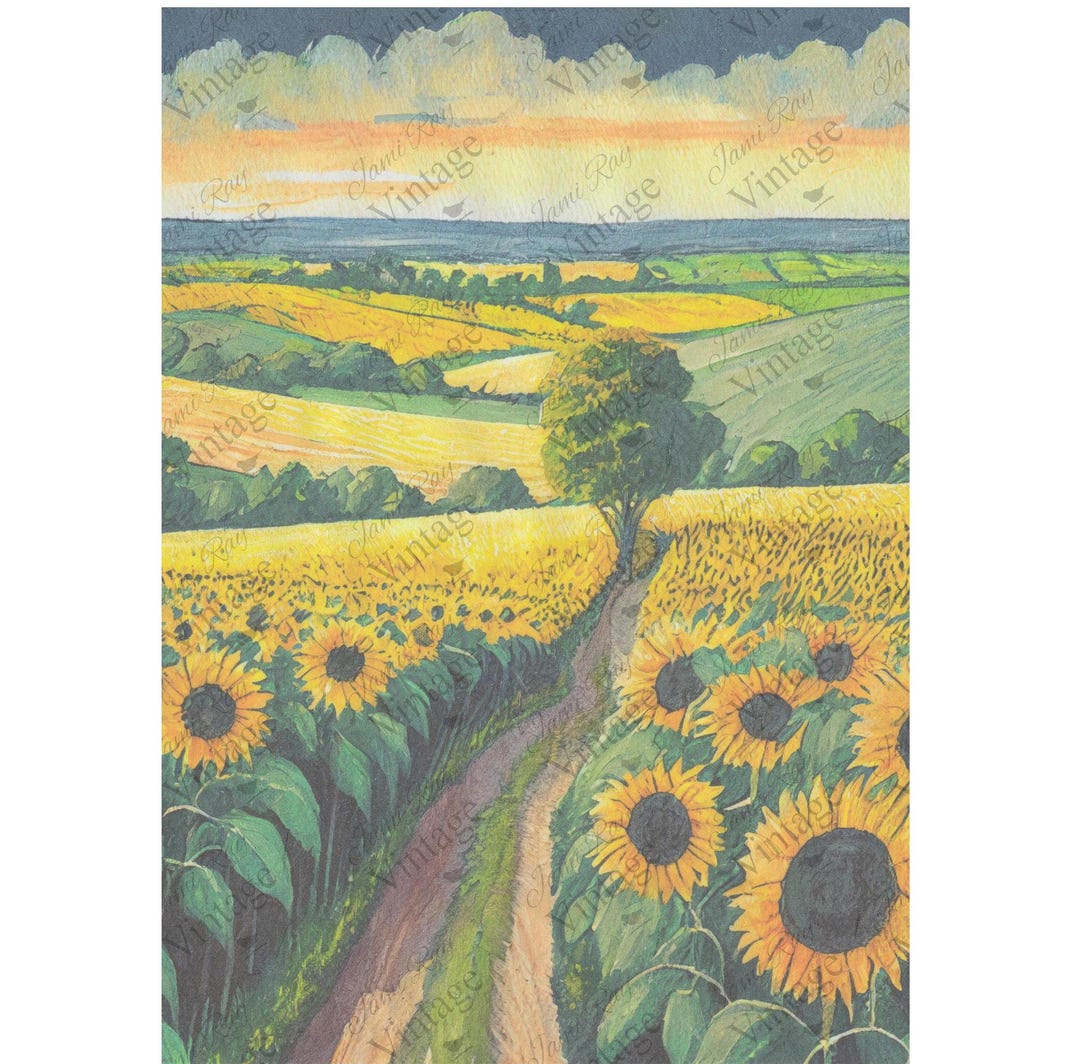 Sunflower Fields A4 Rice Paper - JRV - 8.25" X 11.6" - Etsy