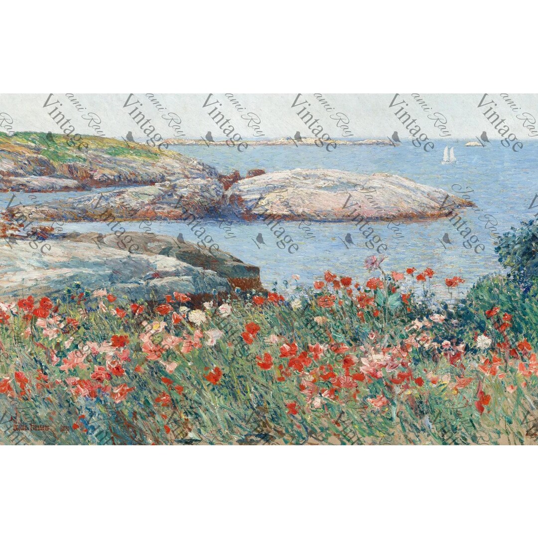 Poppies on the Beach Medium Rice Paper - JRV | 23.5" X 15.5" - Etsy