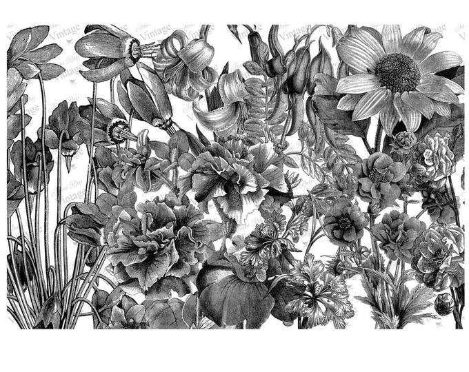 Black and White Floral Decoupage Paper - JRV - 18lb Tissue - Etsy