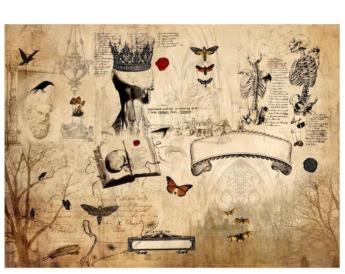 Enchanted Library Decoupage Paper, Vintage Design, Digitally Printed ...