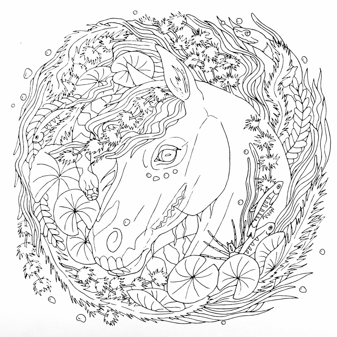 Coloring Book Page Kelpie - Etsy