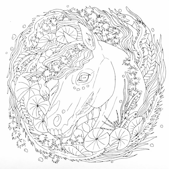 Coloring Book Page Kelpie - Etsy