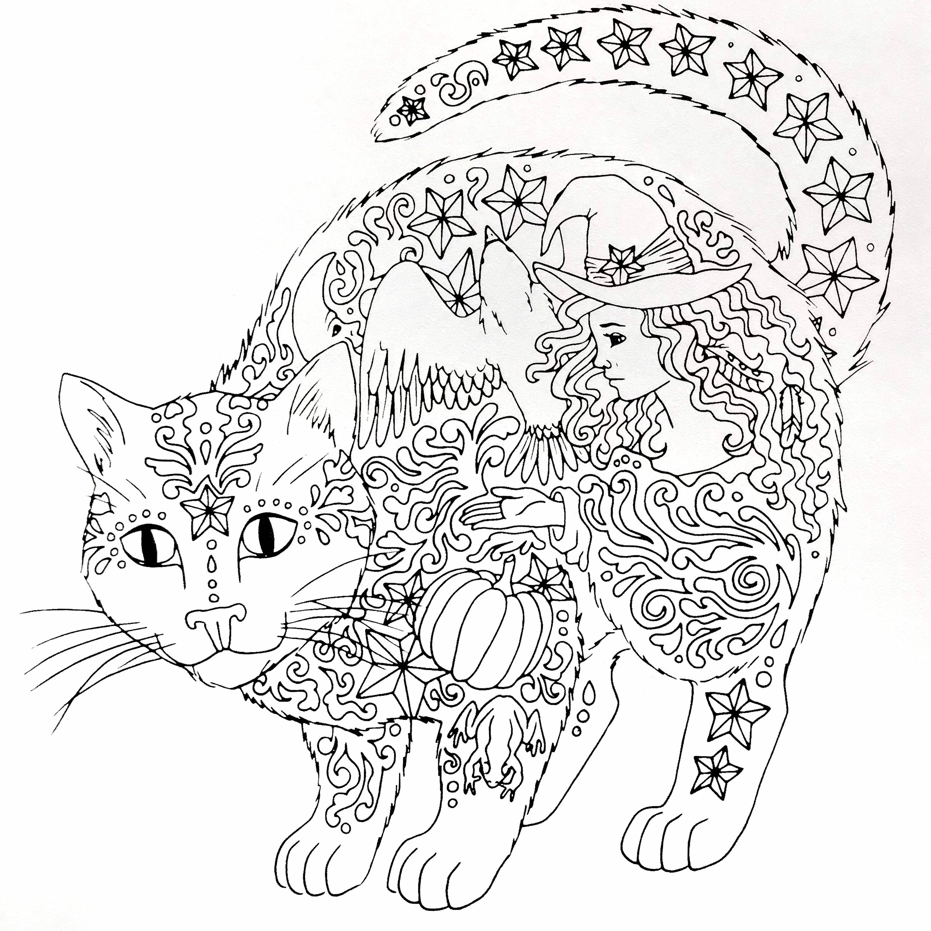 Coloring Book Page Magical Cat - Etsy
