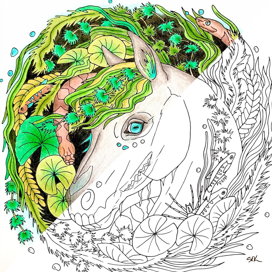 Coloring Book Page- Kelpie - Etsy