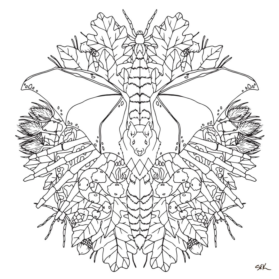 Coloring Book Page- Bat Symmetry - Etsy