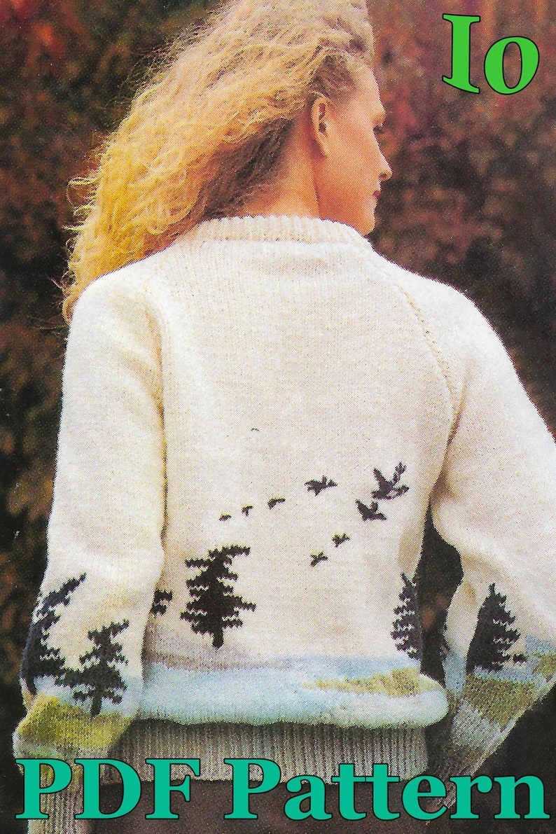 Serene Shores Cardigan Sweater Knitting Pattern | Intarsia Colorwork ...