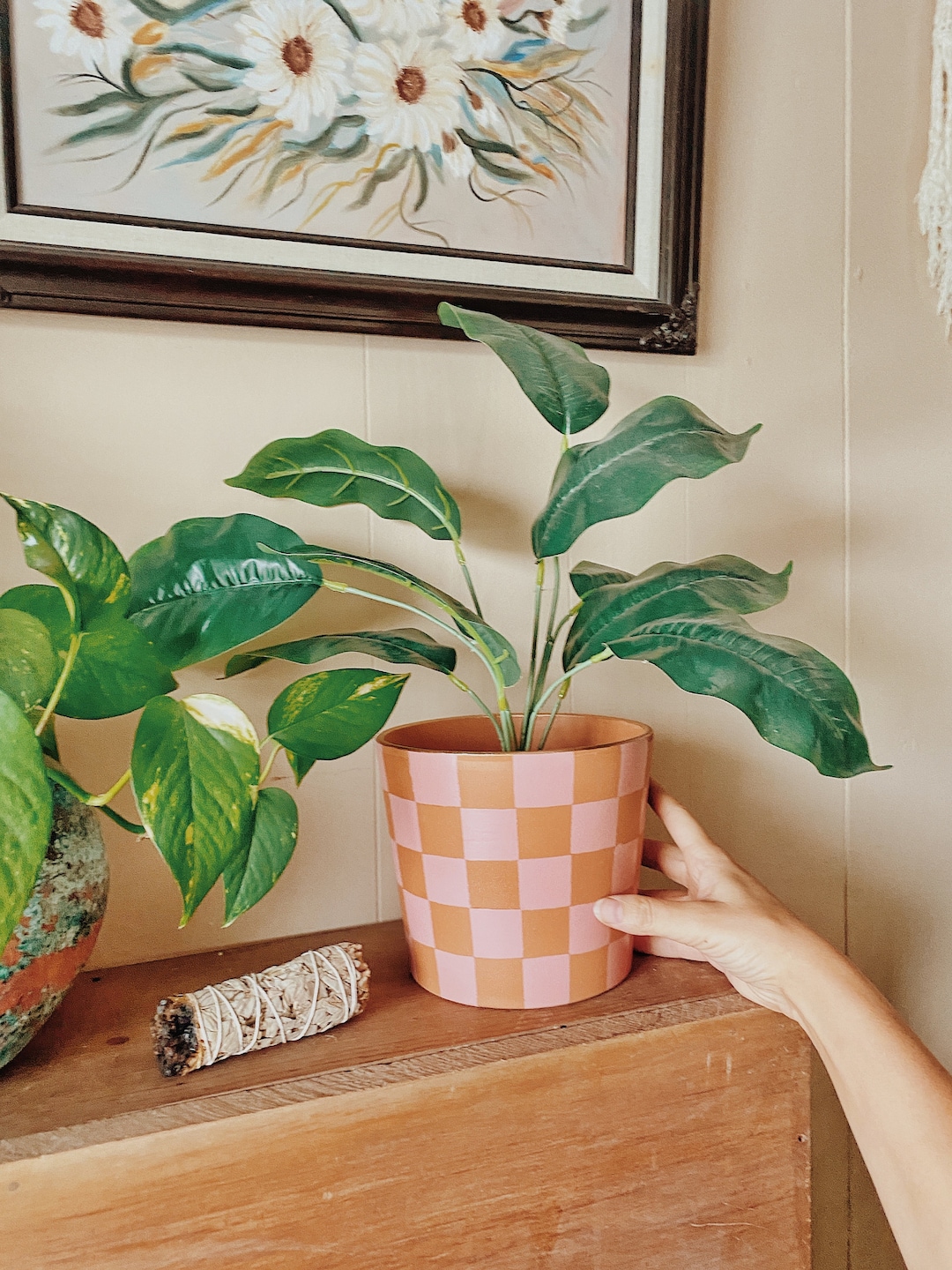 Hand-painted Checkerboard Terracotta Pot: Pink Cabo Indoor Planter - Etsy