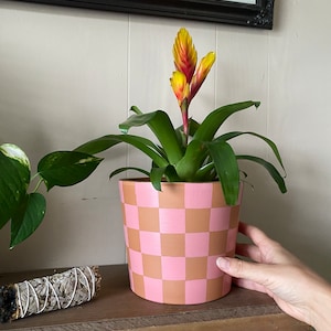 Hand-painted Checkerboard Terracotta Pot: Pink Cabo Indoor Planter - Etsy