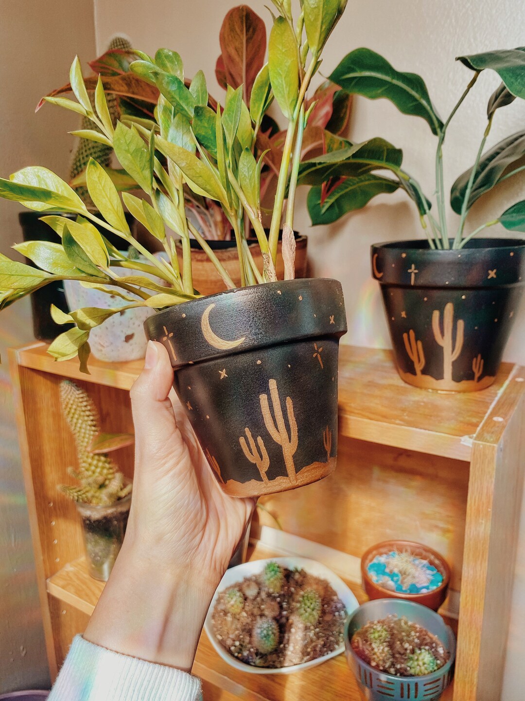 Handpainted Desert Sky Terracotta Pot: Boho Cactus Planter - Etsy