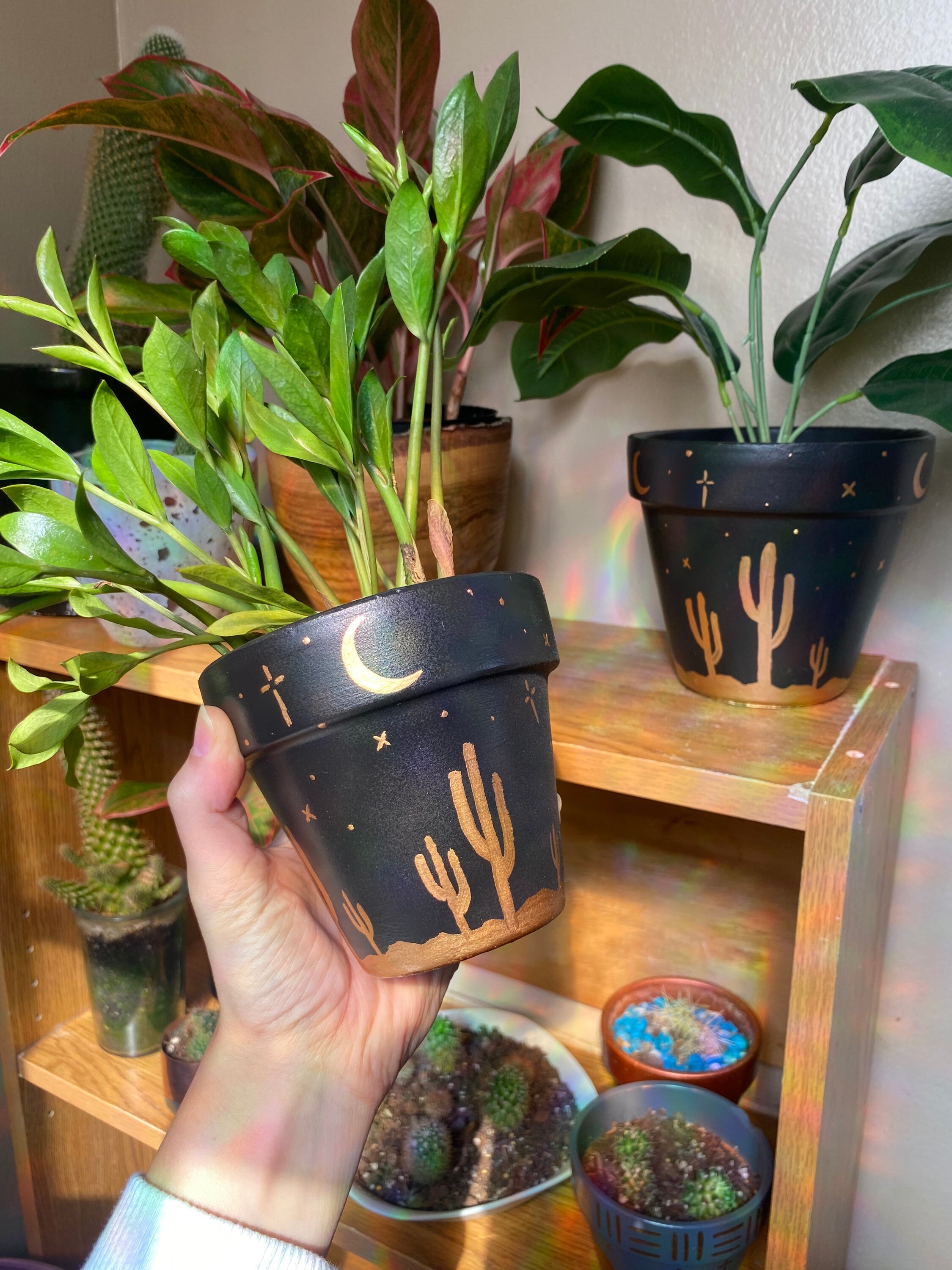 Desert Sky Terracotta Pot Indoor Planter Pot Houseplant - Etsy