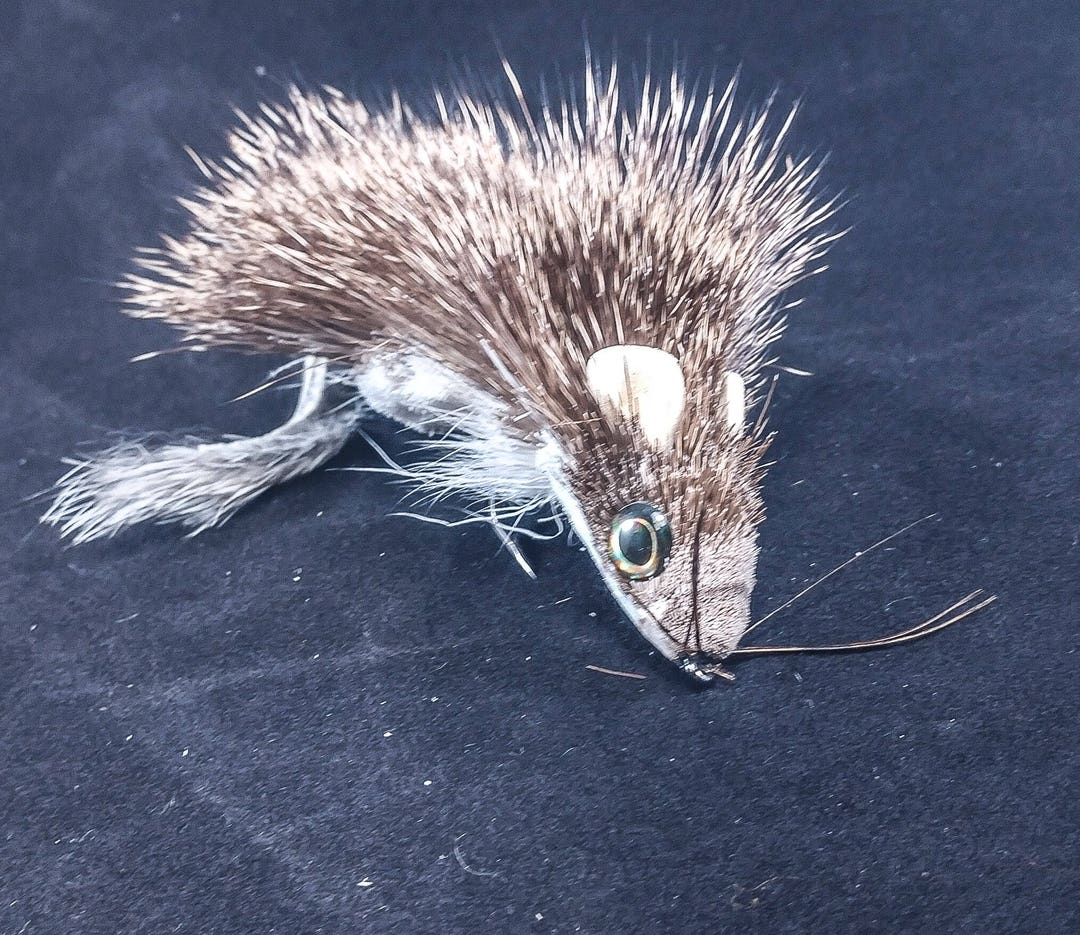 Monster Articulated Rat Fly, - Etsy
