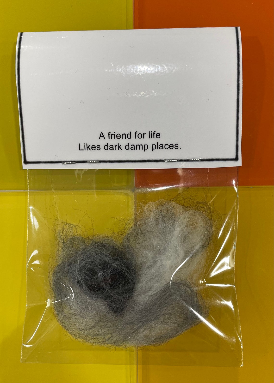 Pet Belly Button Fluff Novelty Gift Funny Christmas | Etsy UK